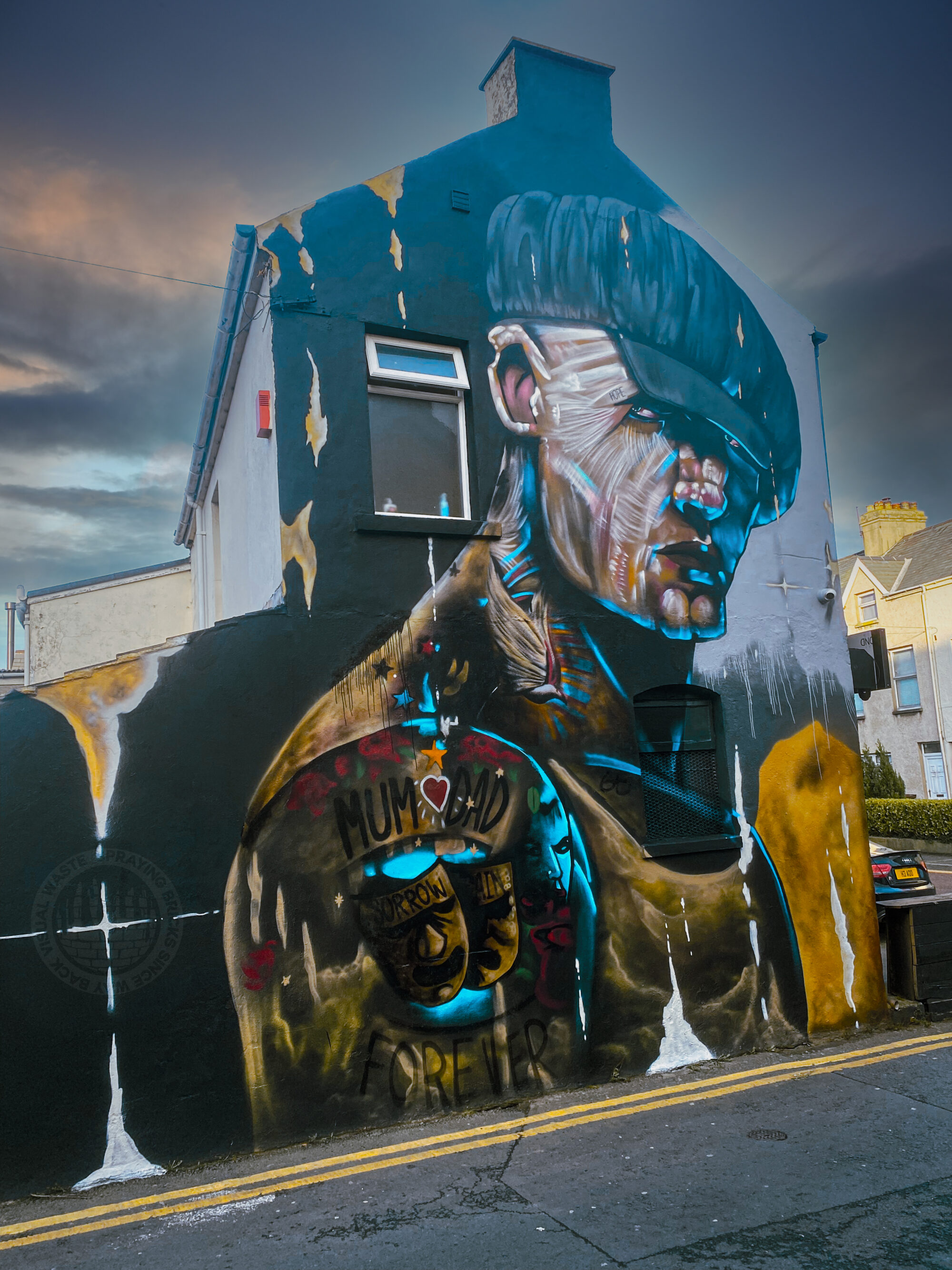 Visual Waste Commercial Graffiti Mural Artist Northern Ireland ...